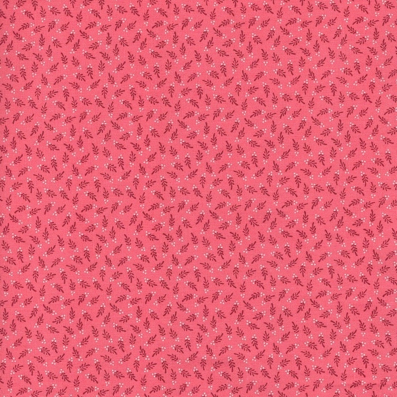 Shop Products | Sew & Quilt